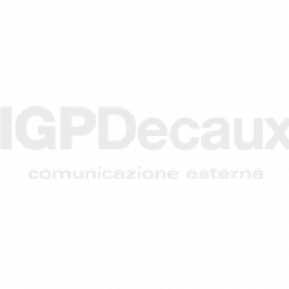 31_igp - SR Labs srl